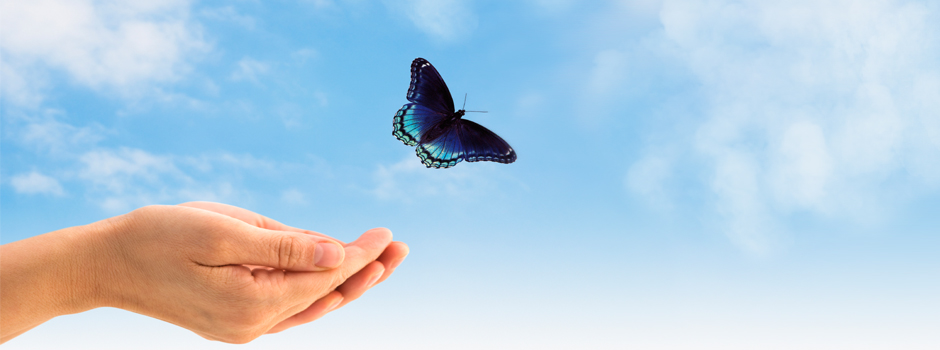 Sovereignism: Political and Social Structure for Freedom : One Community