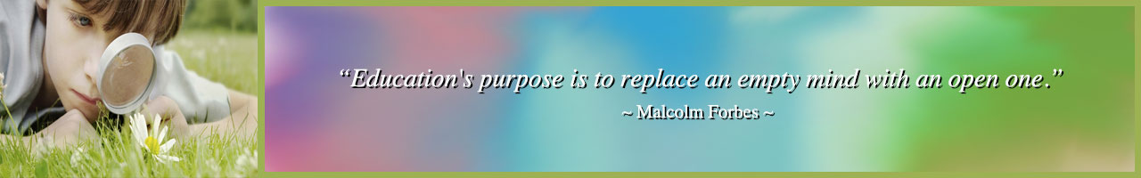 Howard Gardner 8 Multiple Intelligences: An Open Source Resource Guide ...